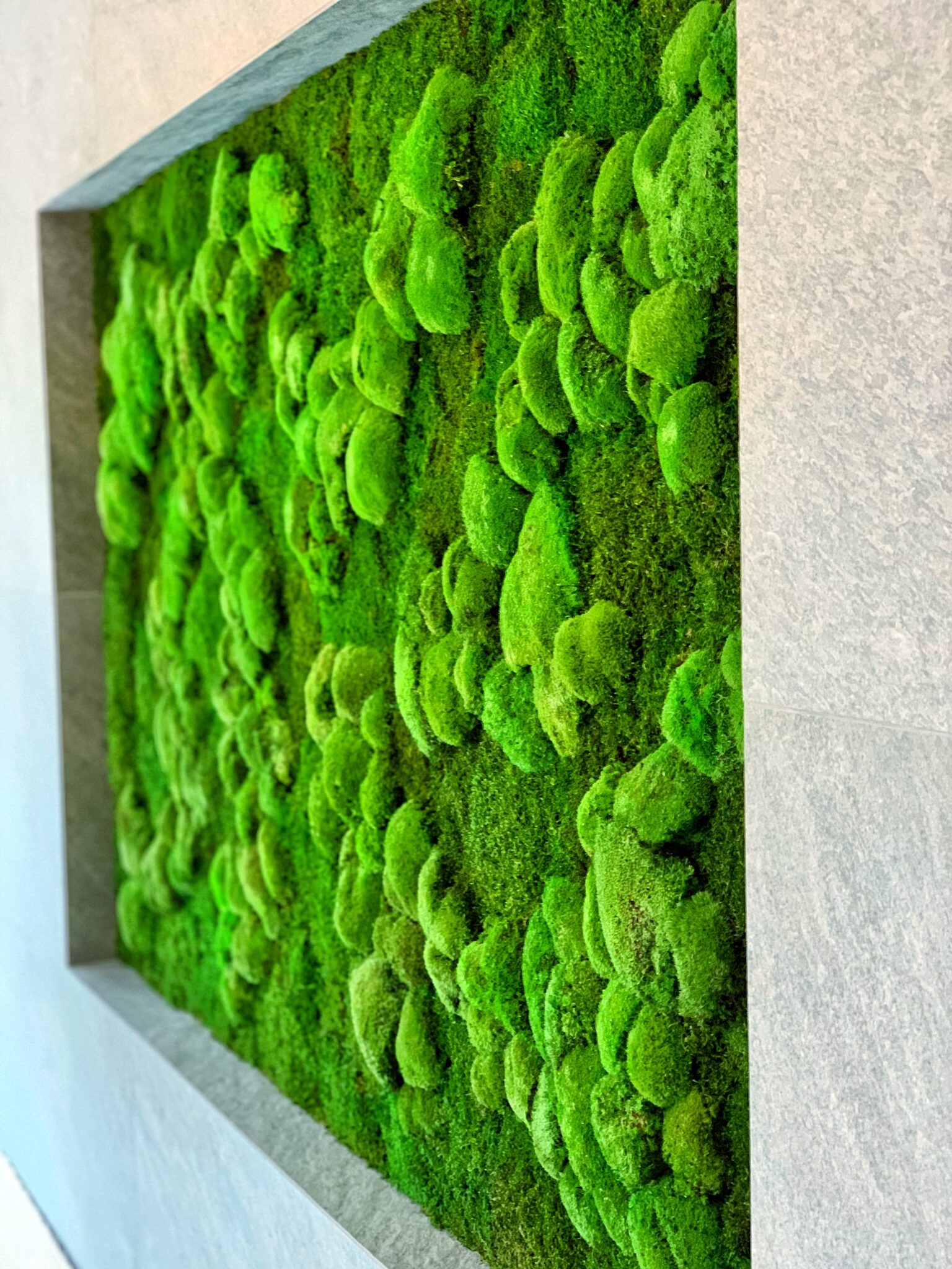 Mech Stabilizowany - Everlasting Flovers